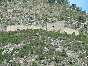 Labady | Haiti Local | Fandom