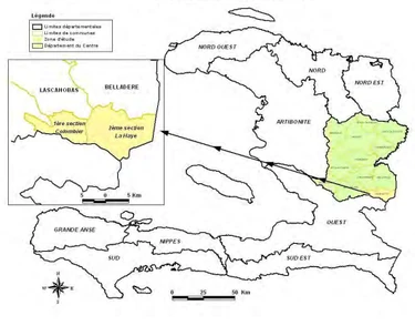 Savanette | Haiti Local | Fandom