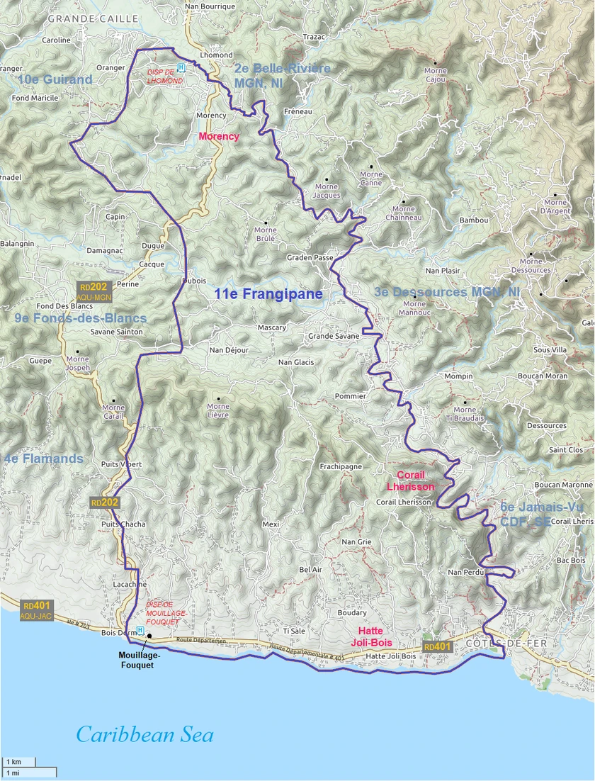 Frangipane | Haiti Local | Fandom