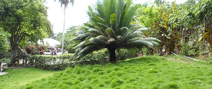 Martissant | Haiti Local | Fandom