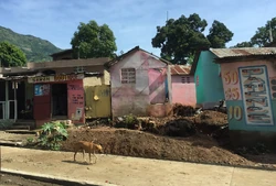 Limbé | Haiti Local | Fandom