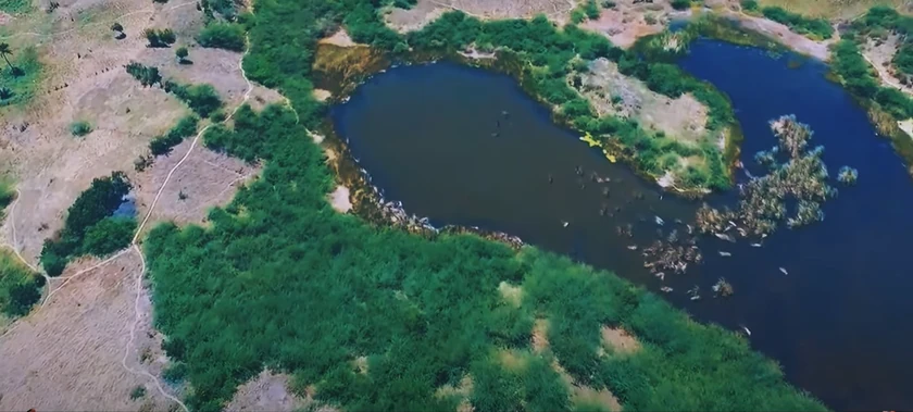 Jean-Rabel | Haiti Local | Fandom