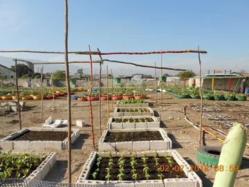 cite soleil population density