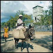 La Hoye | Haiti Local | Fandom