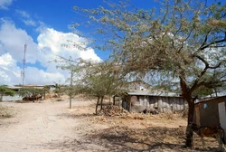 Anse-Rouge | Haiti Local | Fandom