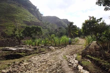 Grand-Gosier | Haiti Local | Fandom