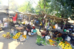 Bas-Limbé | Haiti Local | Fandom