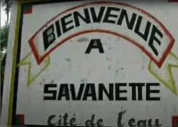 Savanette | Haiti Local | Fandom