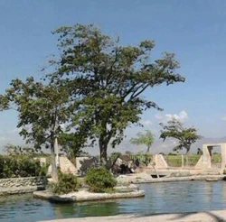 Jean-Rabel | Haiti Local | Fandom