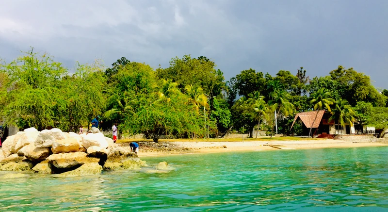 Arcahaie | Haiti Local | Fandom