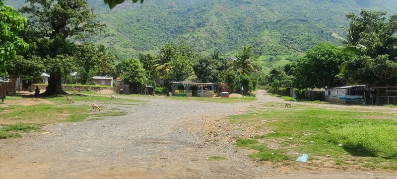 Morne Rouge, PDN | Haiti Local | Fandom