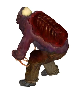 Half Life 2 Poison Zombie