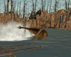 Ichthyosaur | Half-Life Wiki | Fandom