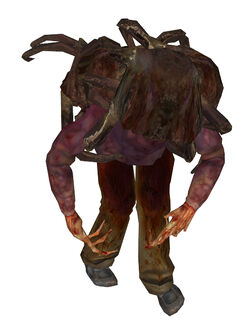 Half Life 2 Poison Zombie