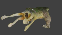 Half Life Bullsquid