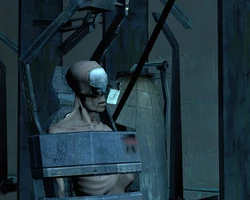 stalker half life reference