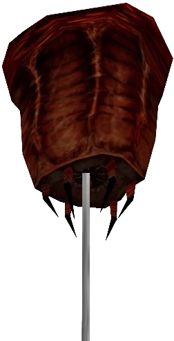 Barnacle | Half-Life Wiki | Fandom