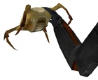 Standard Headcrab | Half-Life Wiki | Fandom