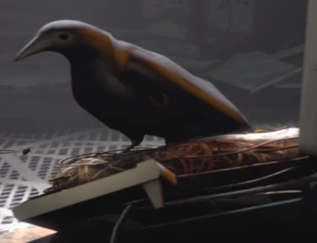 Bird (Portal 2) | Half-Life Wiki | Fandom