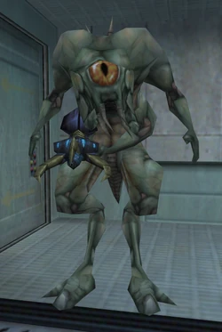 Half Life Shock Roach