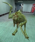 Pit Drone | Half-Life Wiki | Fandom