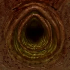 Poison Zombie | Half-Life Wiki | Fandom