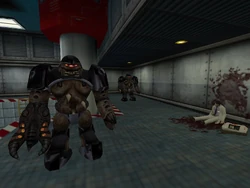 Alien Grunt Half Life