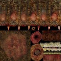 Barnacle | Half-Life Wiki | Fandom