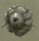 Shield Scanner | Half-Life Wiki | Fandom