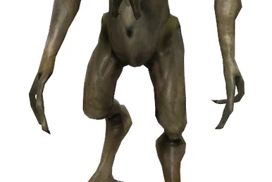 half life ichthyosaur