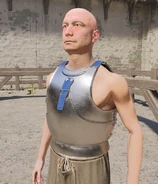 Armor | Half Sword Wiki | Fandom