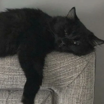 Ralph | Halfasleepchris Wiki | Fandom