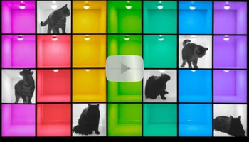 Cats in Squares | Halfasleepchris Wiki | Fandom