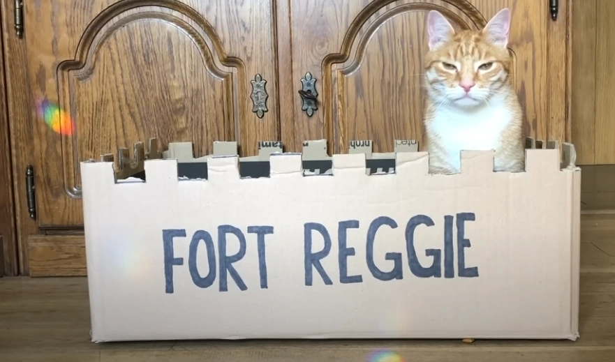 Fort Reggie | Halfasleepchris Wiki | Fandom