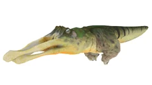 Bullsquid | Half-life 2 Cut Npcs v.2 Wiki | Fandom