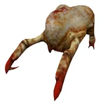 Headcrab | Half-Life & Portal Wiki | Fandom