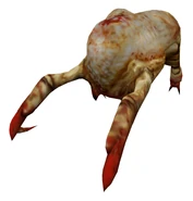 Headcrab | Half-Life & Portal Wiki | Fandom