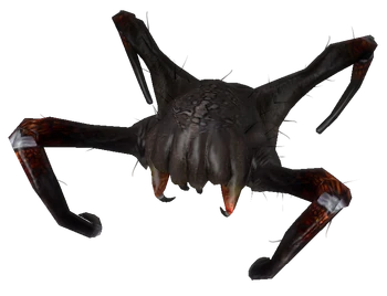 Headcrab Venenoso | Half-Life & Portal Wiki | Fandom