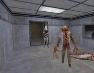 Headcrab | Half-Life & Portal Wiki | Fandom