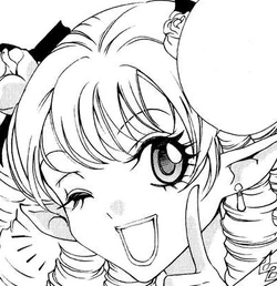 Perfect Princess | 1/2 Prince Wiki | Fandom