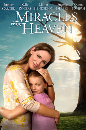Miracles from heaven store