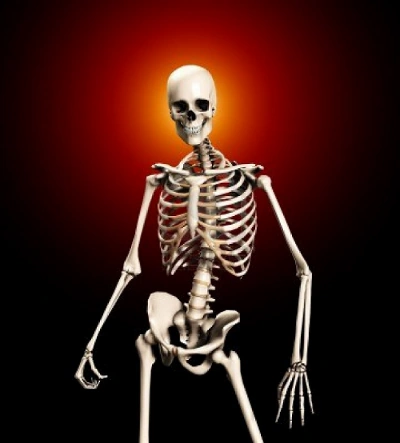 Skeleton | Hallopedia | Fandom
