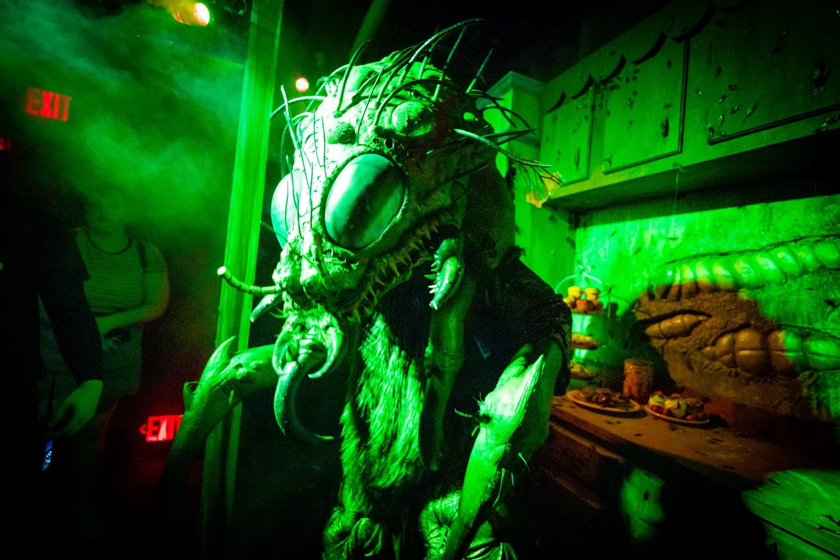 Giant Fly | Halloween Horror Nights Wiki | Fandom