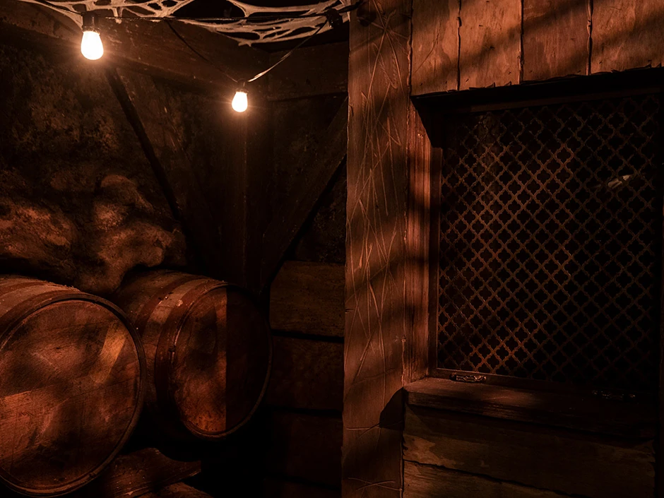 The Haunted House Basement