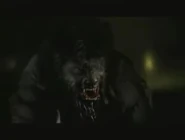 The Wolfman | Halloween Horror Nights Wiki | Fandom