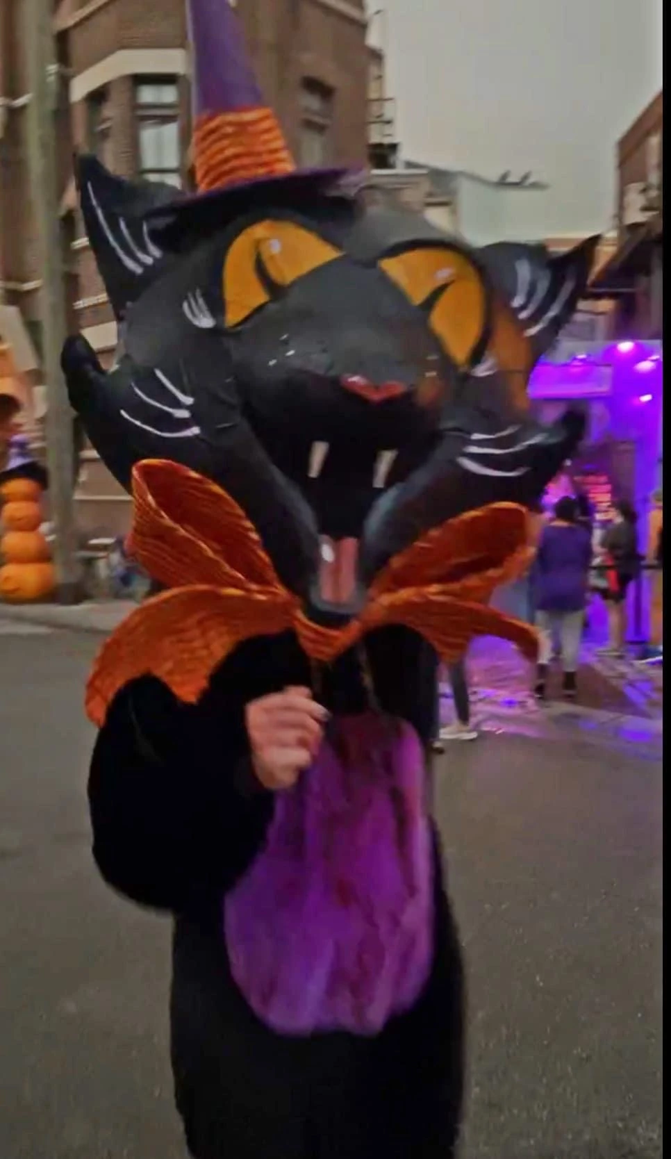 Millie the Cat | Halloween Horror Nights Wiki | Fandom