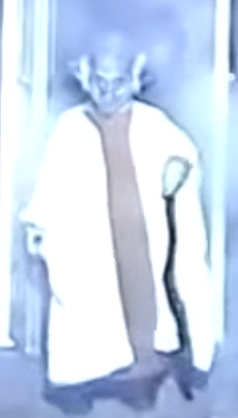 Yoda | Halloween Horror Nights Wiki | Fandom