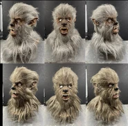 The Wolfman: The Curse of Talbot Hall | Halloween Horror Nights Wiki ...