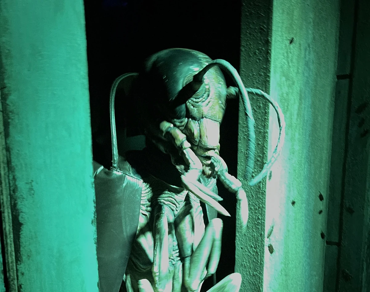 Giant Cockroach | Halloween Horror Nights Wiki | Fandom