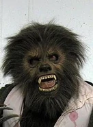 The Wolfman: The Curse of Talbot Hall | Halloween Horror Nights Wiki ...